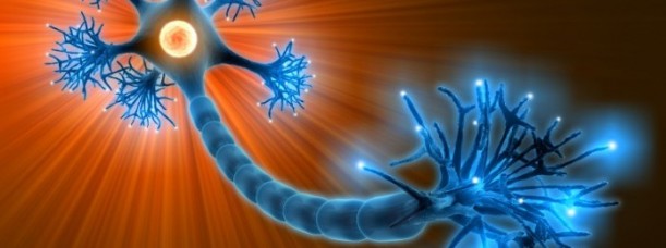 MSology What happens in multiple sclerosis? - MSology MSology What happens in multiple sclerosis? - MSology